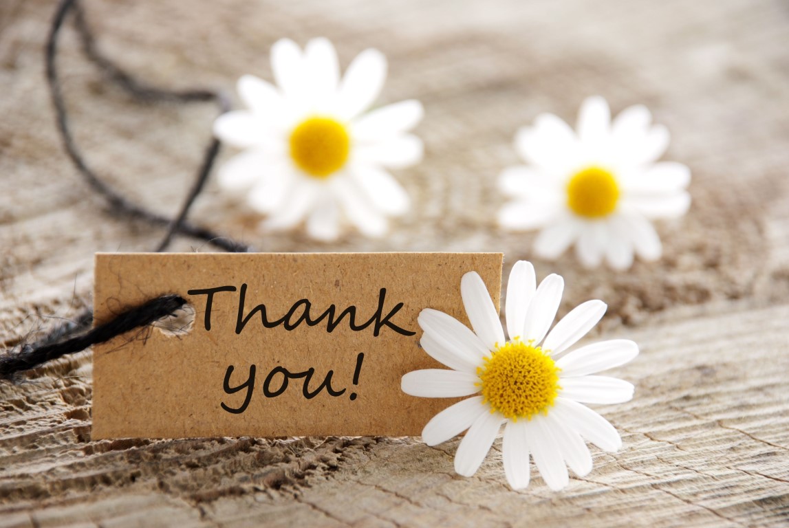 Domo Arigato Misuta Robotto How To Say Thank You In Foreign Languages domo-arigato-misuta-robotto-how-to-say-thank-you-in-foreign-languages