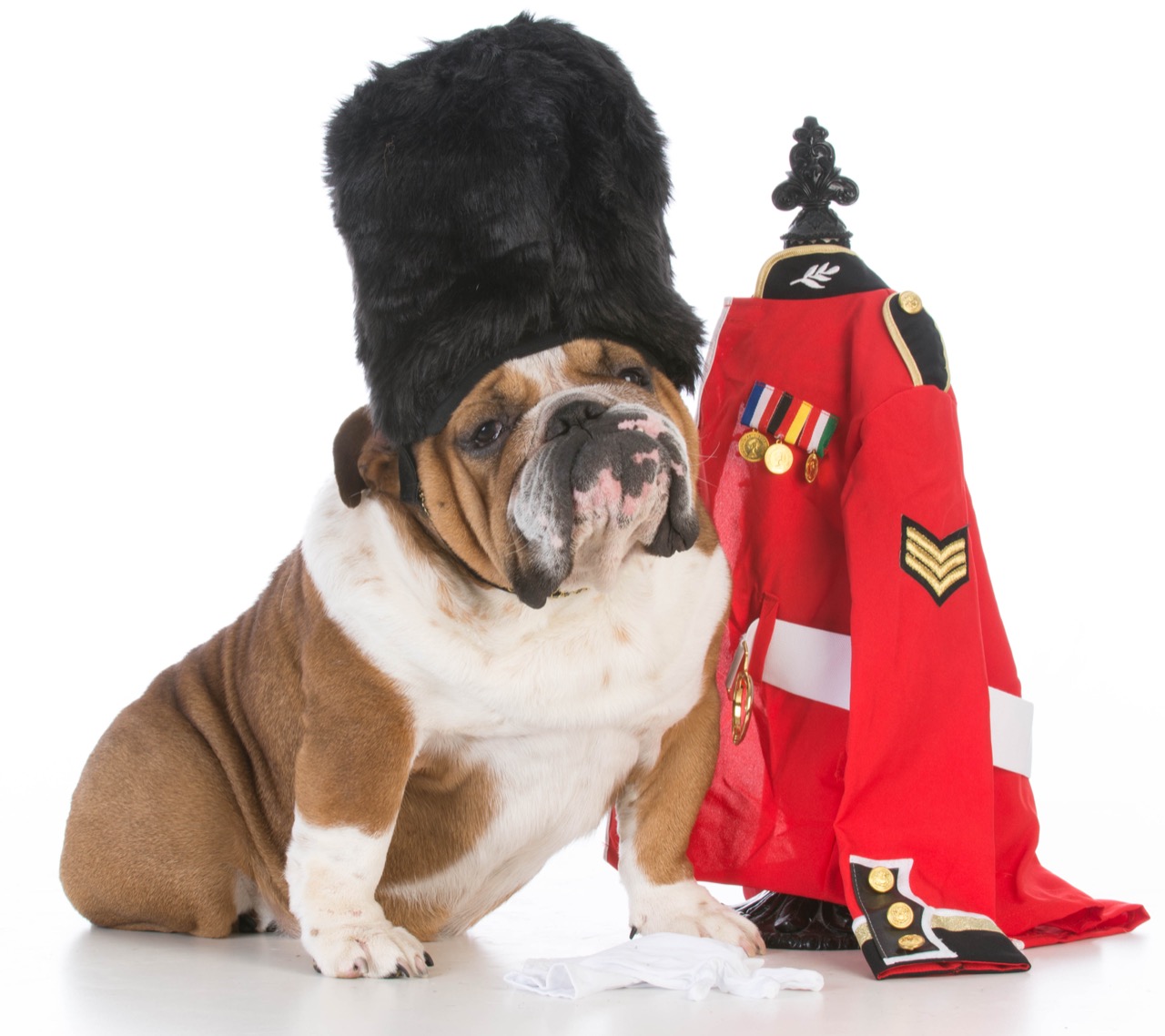 Porkies, Bugger All, & Galdem: British Slang - My Travel Quiz