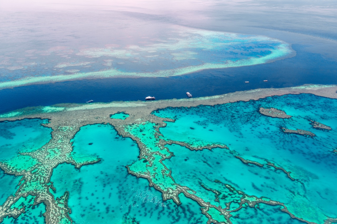 Visit the Great Barrier Reef with this Quiz - My Travel Quiz